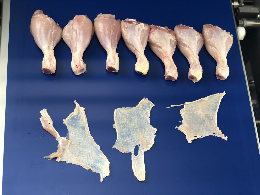 Automatic short poultry skinning machine: chicken, turkey duck bone in/out