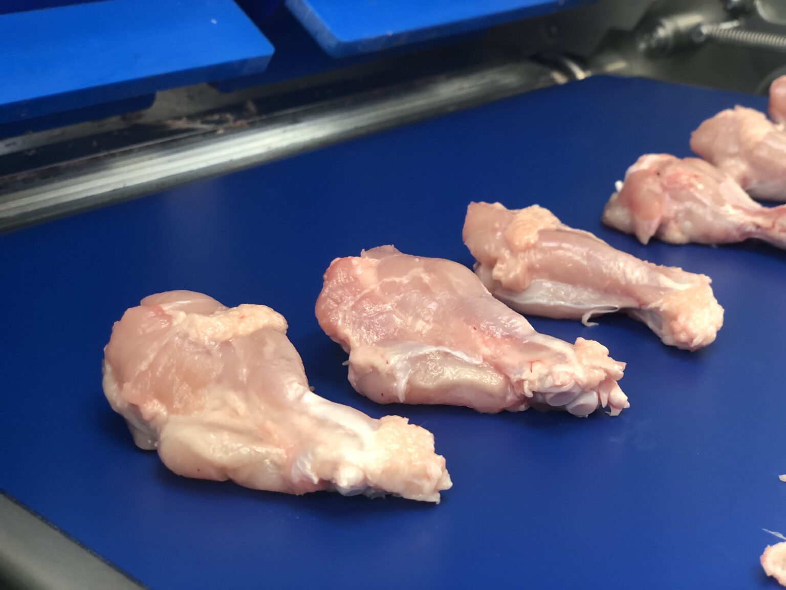 Automatic short poultry skinning machine: chicken, turkey duck bone in/out