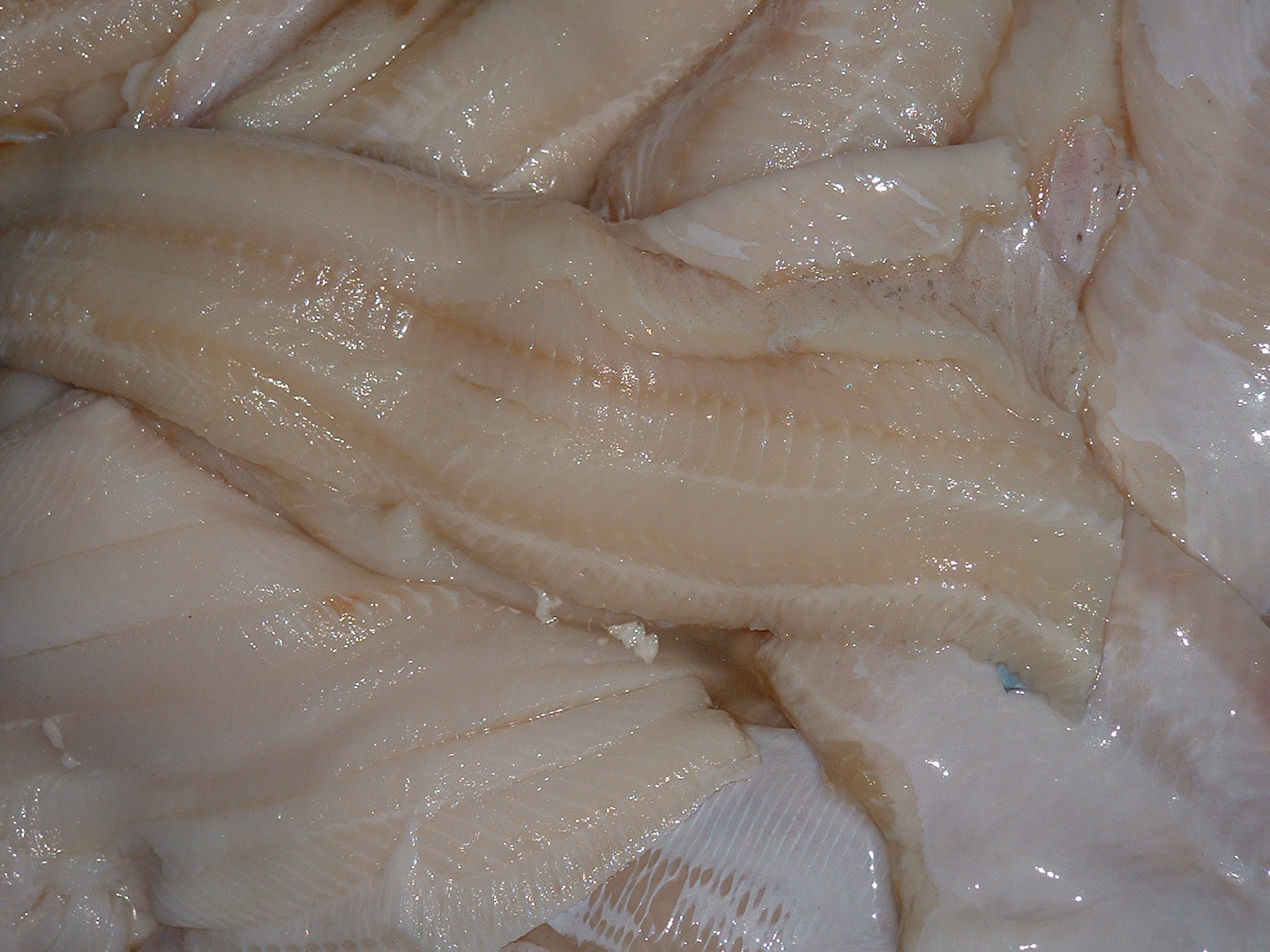 Automatic short fish skinner: fillet & fish skinning (peeler) machine