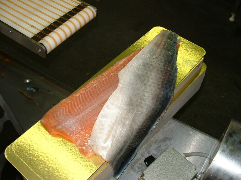 Tabletop fish skinning machine - versatile skinner for regular and deepskin