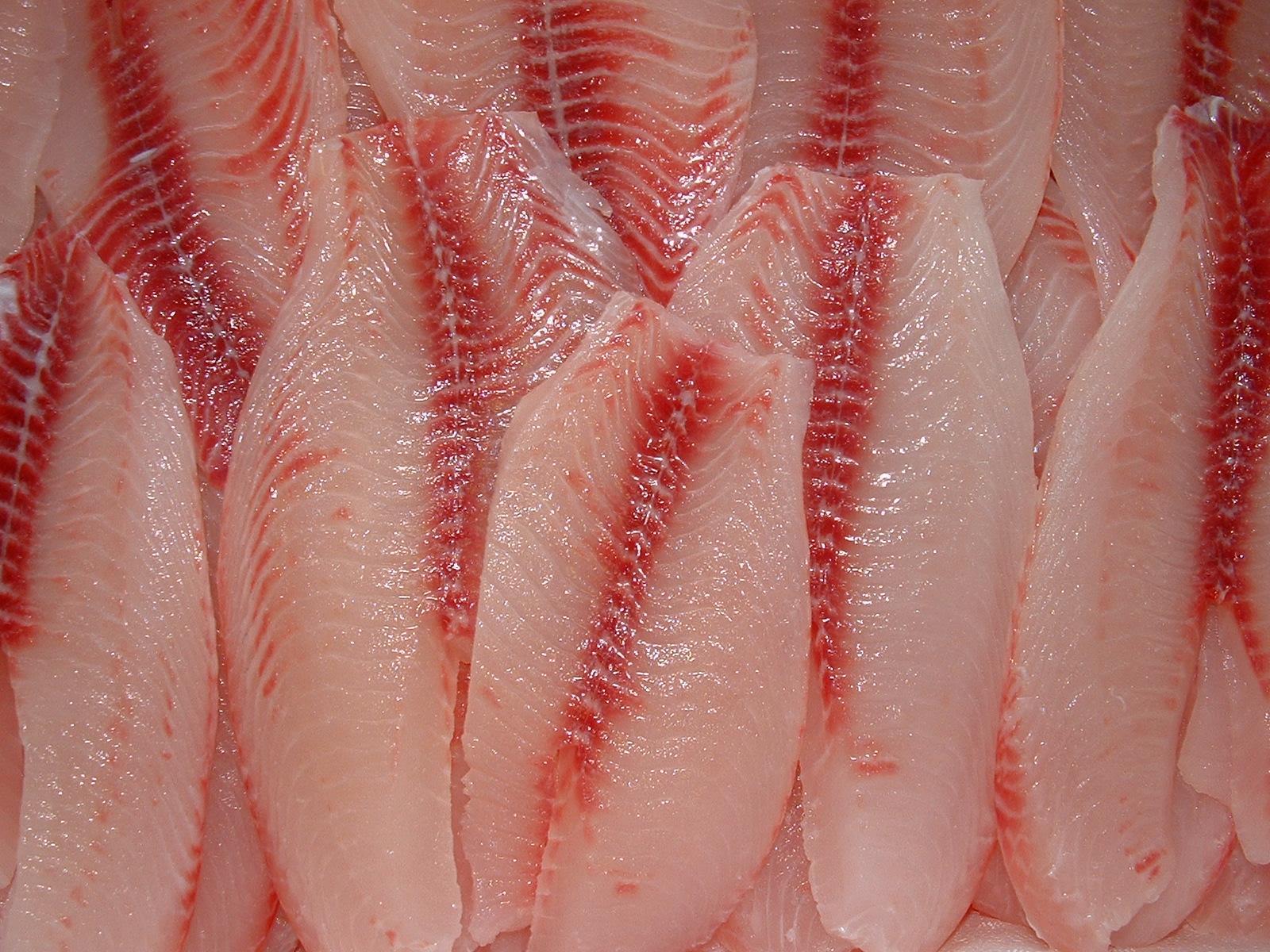 Tabletop fish skinning machine - versatile skinner for regular and deepskin