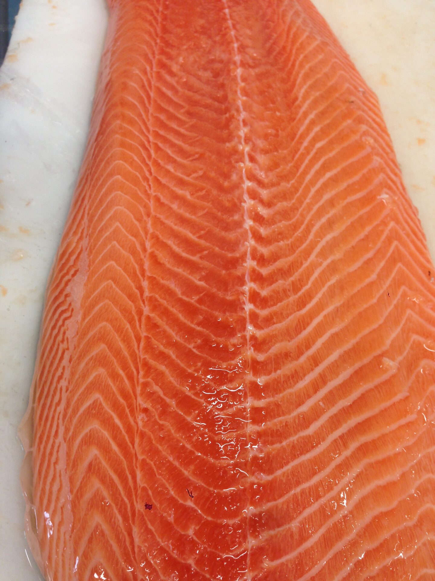 Manual electric pinbone remover for pin bone & lateral bones: salmonids